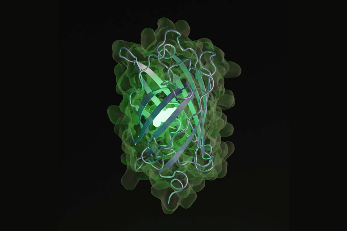 EvolutionaryScale Raises $142M and Unveils AI Model ESM3 to Transform Biology - SynBioBeta